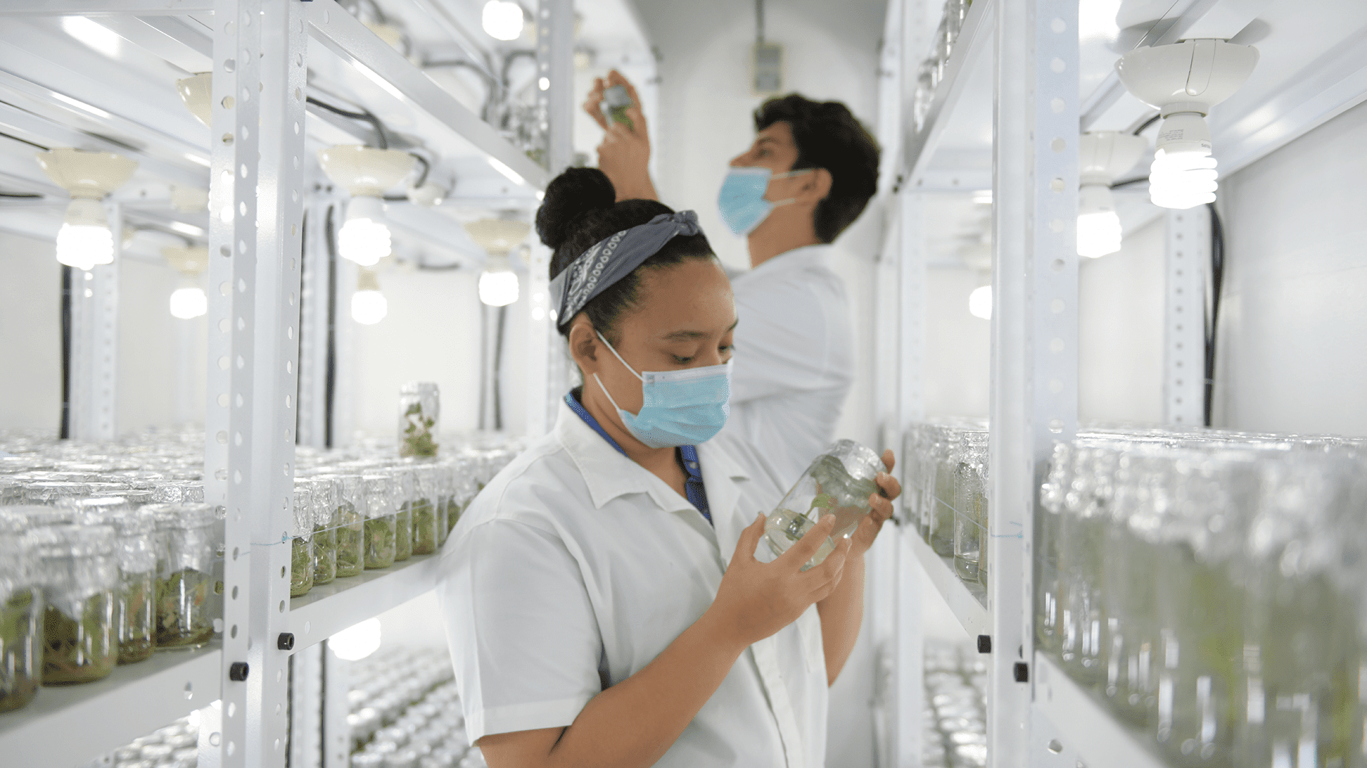 Acerca de – Universidad Zamorano